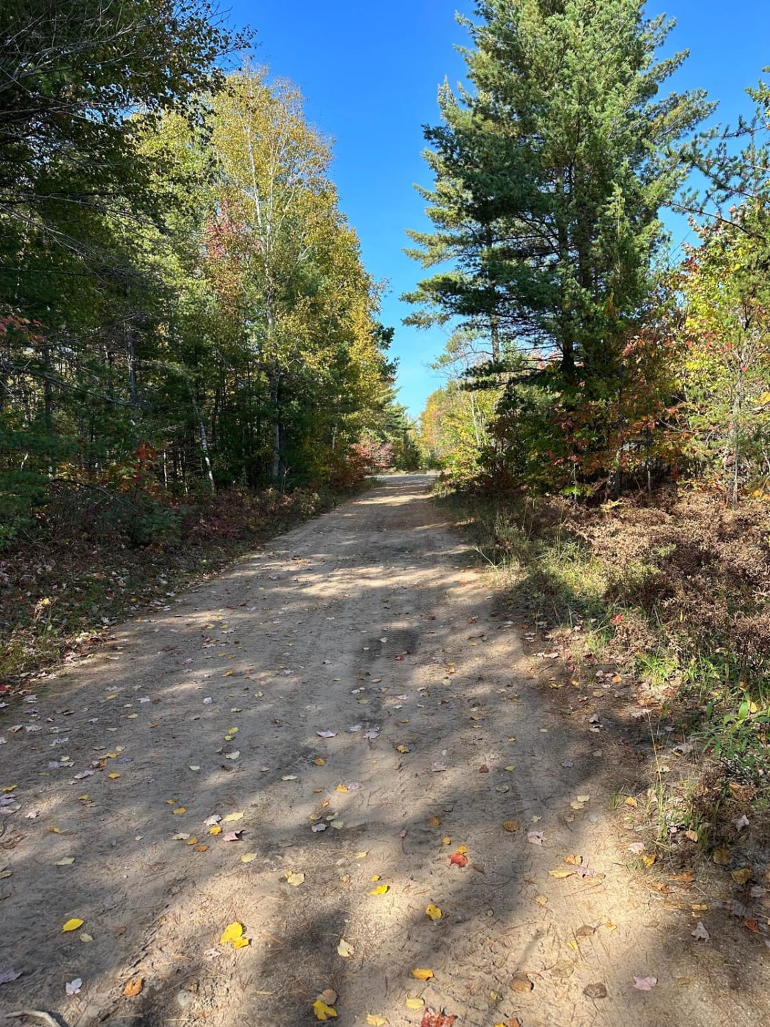 FS 3177 Part 3 , Michigan : Off-Road Trail Map & Photos | onX Offroad