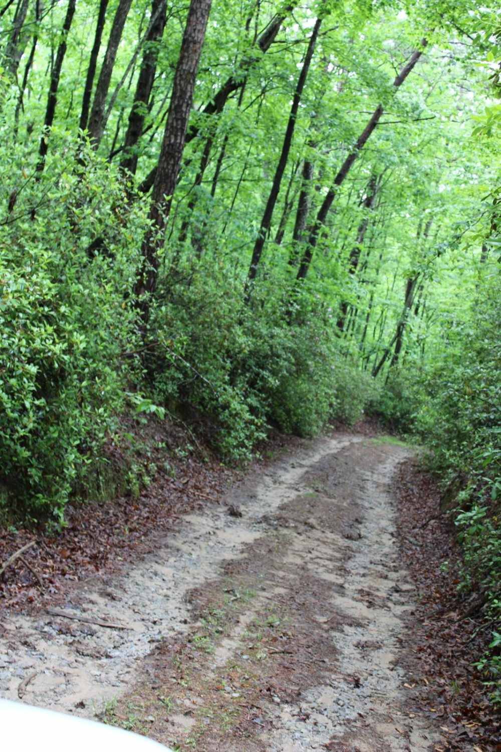 South Panther Creek Road (FSR 220), Georgia : Off-Road Trail Map ...
