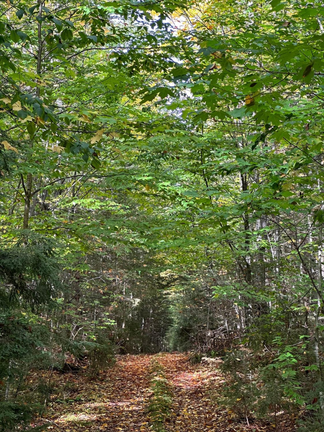 FS 8301 Michigan Off Road Trail Map Photos OnX Offroad