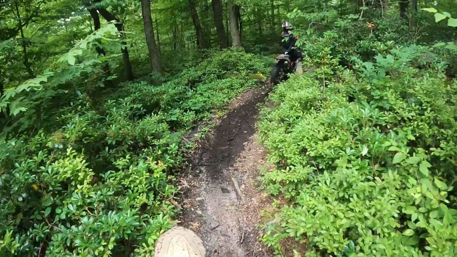 Mountain Ridge ATV Park Singletrack CG, Pennsylvania : Off-Road Trail ...