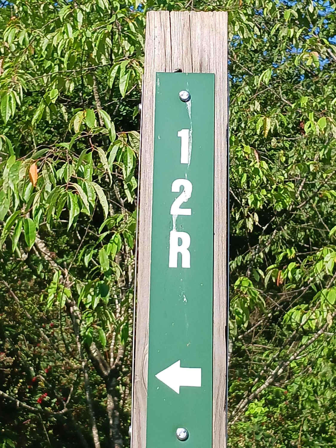 Trail 12R - Rock Run Recreation Area, Pennsylvania - GPS Trail Map, Conditions & Difficulty ...