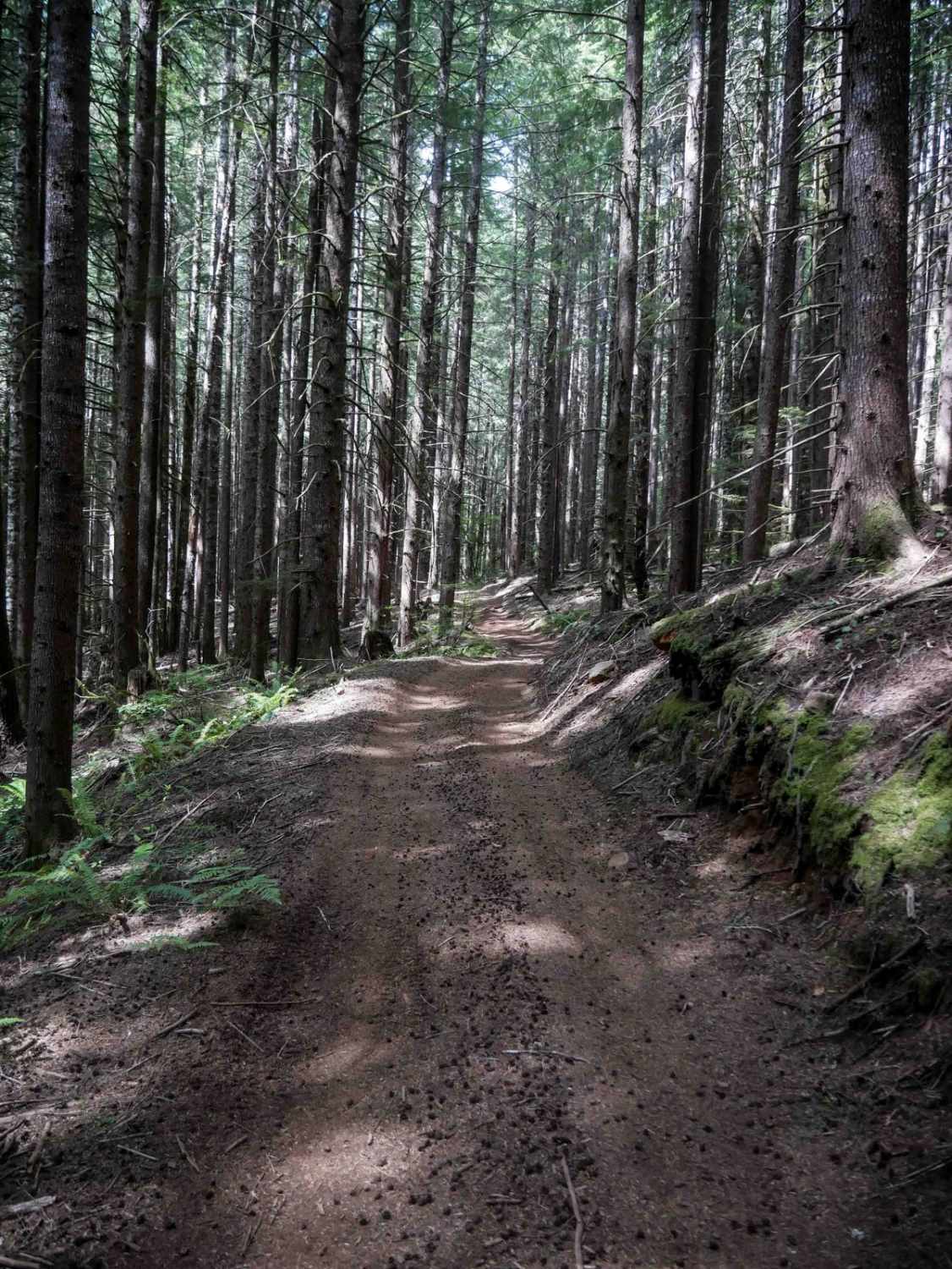 PC40, Oregon - GPS Trail Map, Conditions & Difficulty | onX Offroad