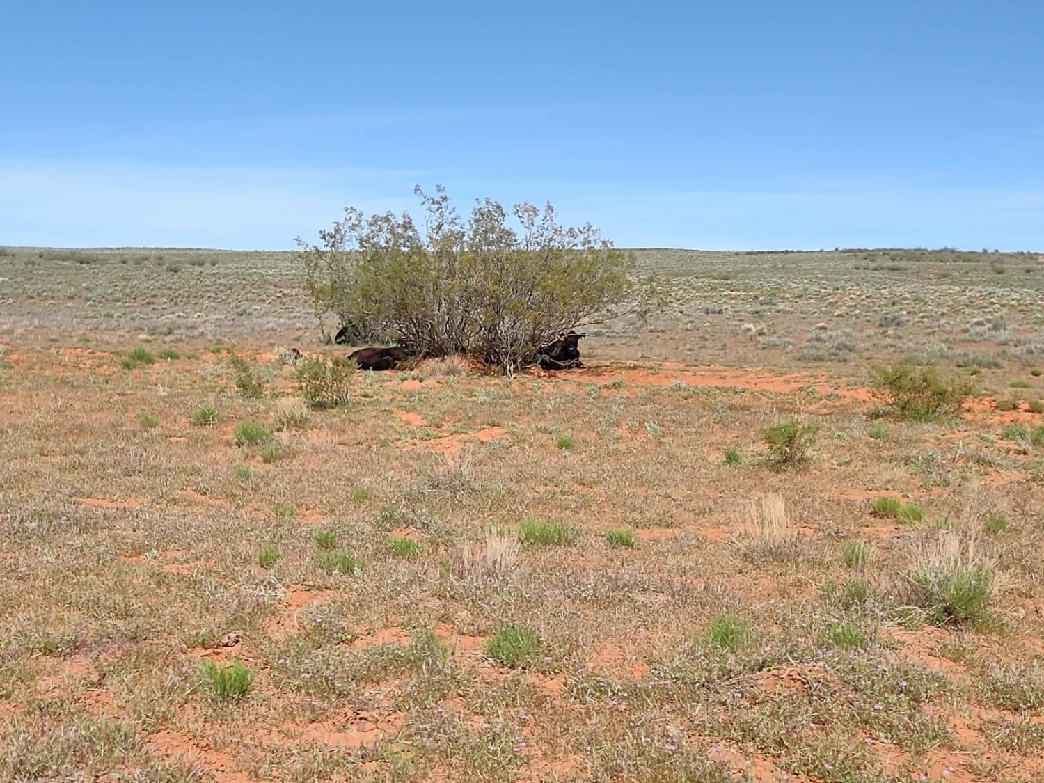 East Rim Extension, Utah : Off-Road Trail Map & Photos | onX Offroad