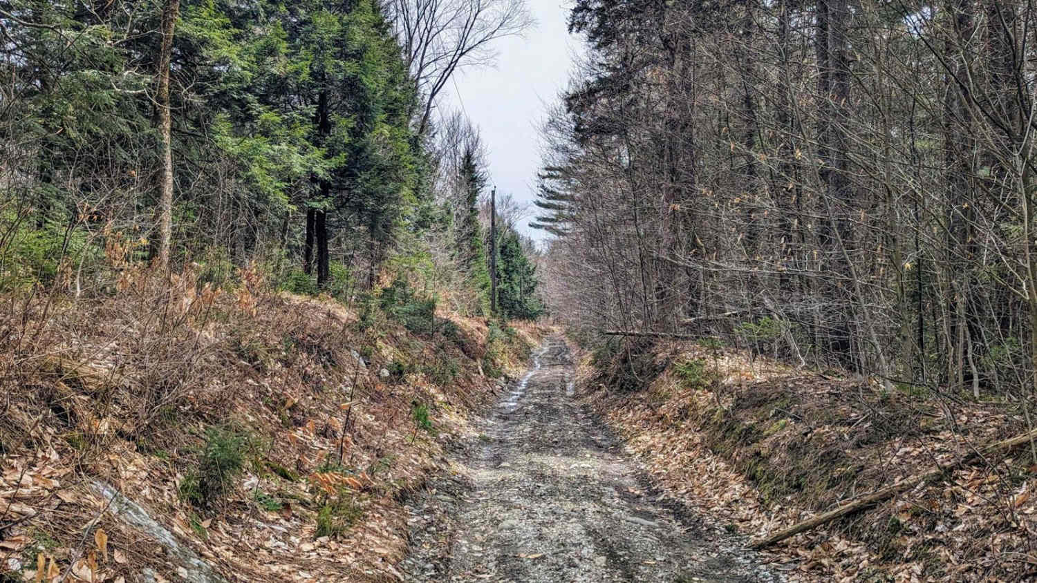 Savoy Road/New State Road, Massachusetts : Off-Road Trail Map & Photos ...
