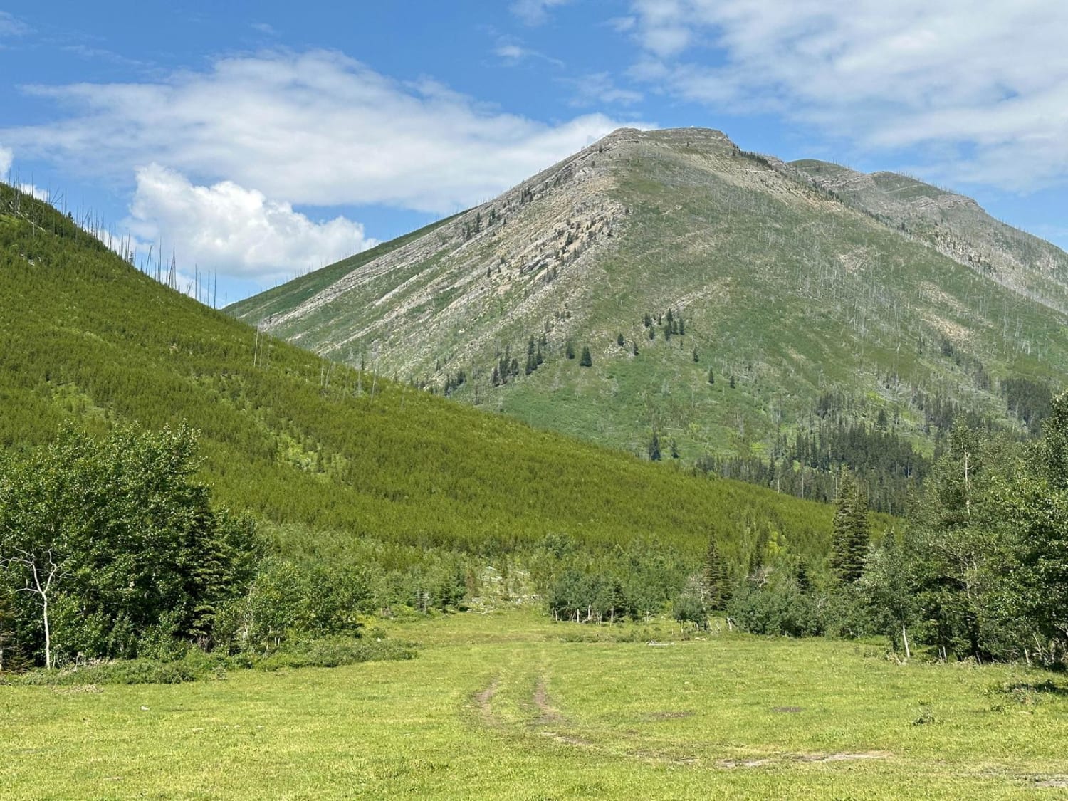 Adanac Trail, Alberta : Off-Road Trail Map & Photos | onX Offroad