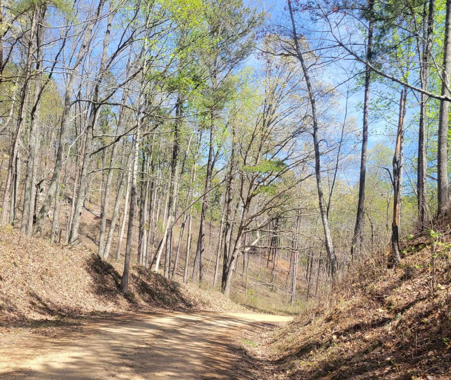 Big Popular - 529, Alabama : Off-Road Trail Map & Photos | onX Offroad