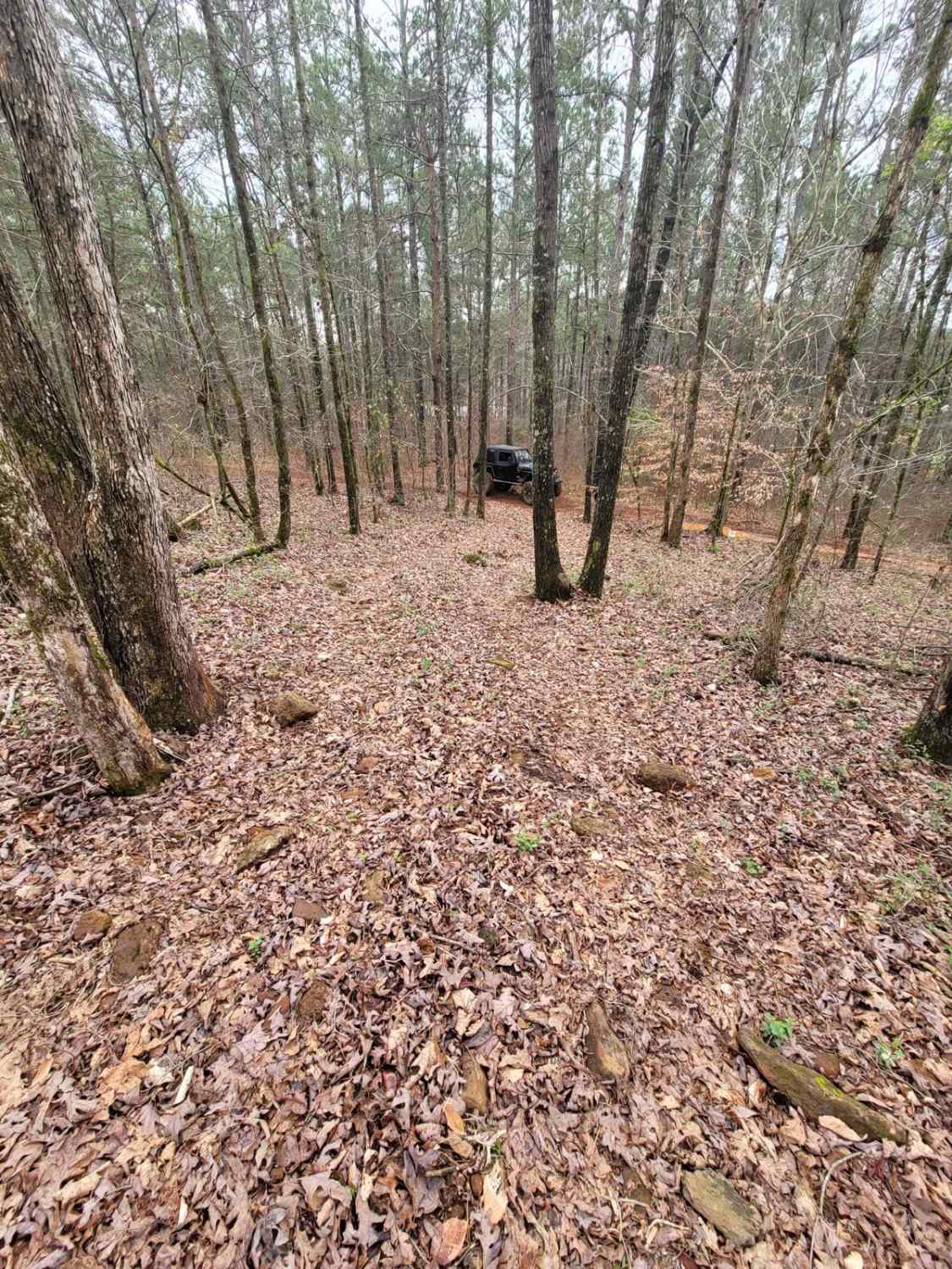 Jon Boy, Alabama : Off-Road Trail Map & Photos | onX Offroad