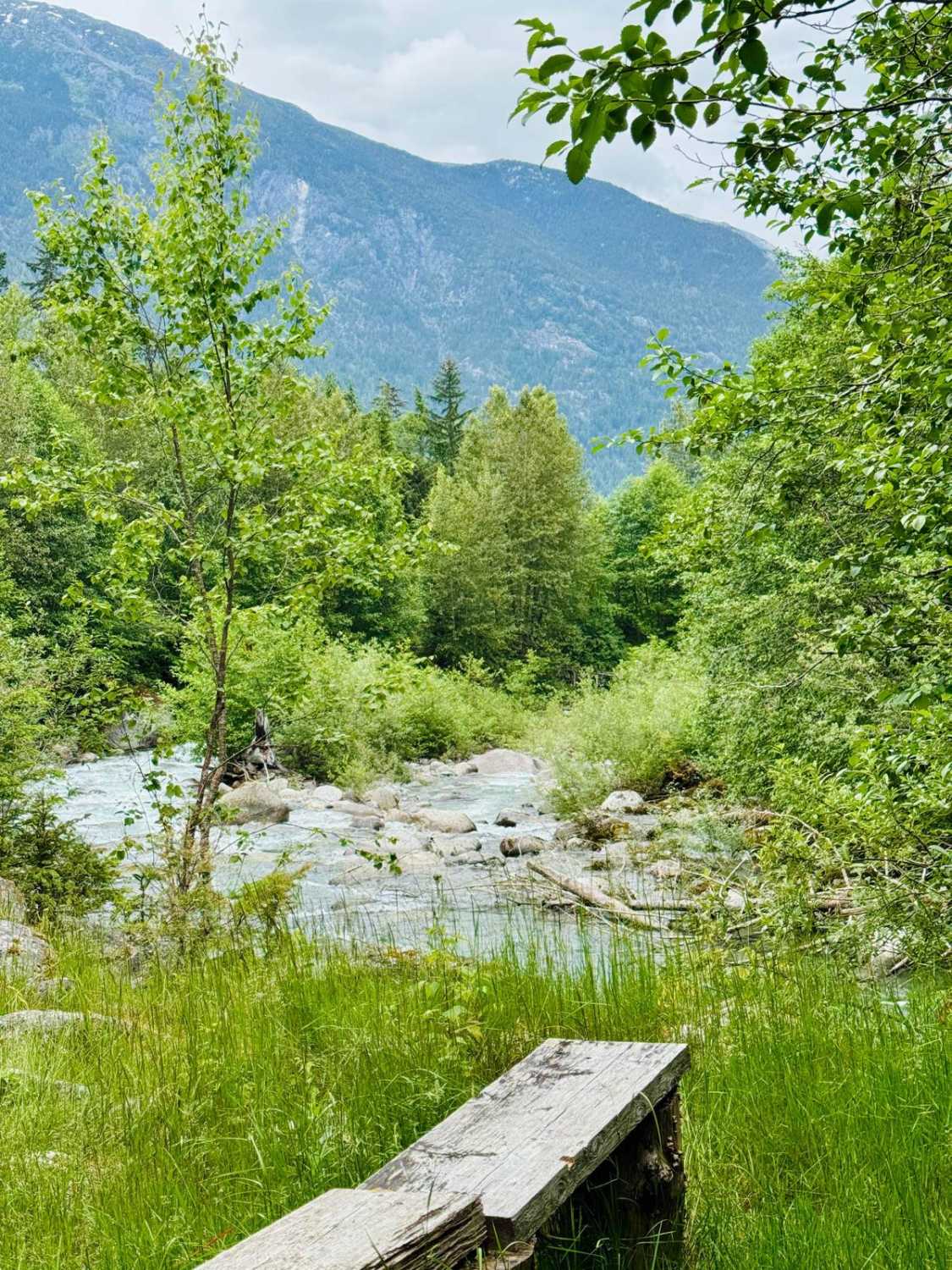 Bella Coola Petroglyphs Site, British Columbia - GPS Trail Map ...