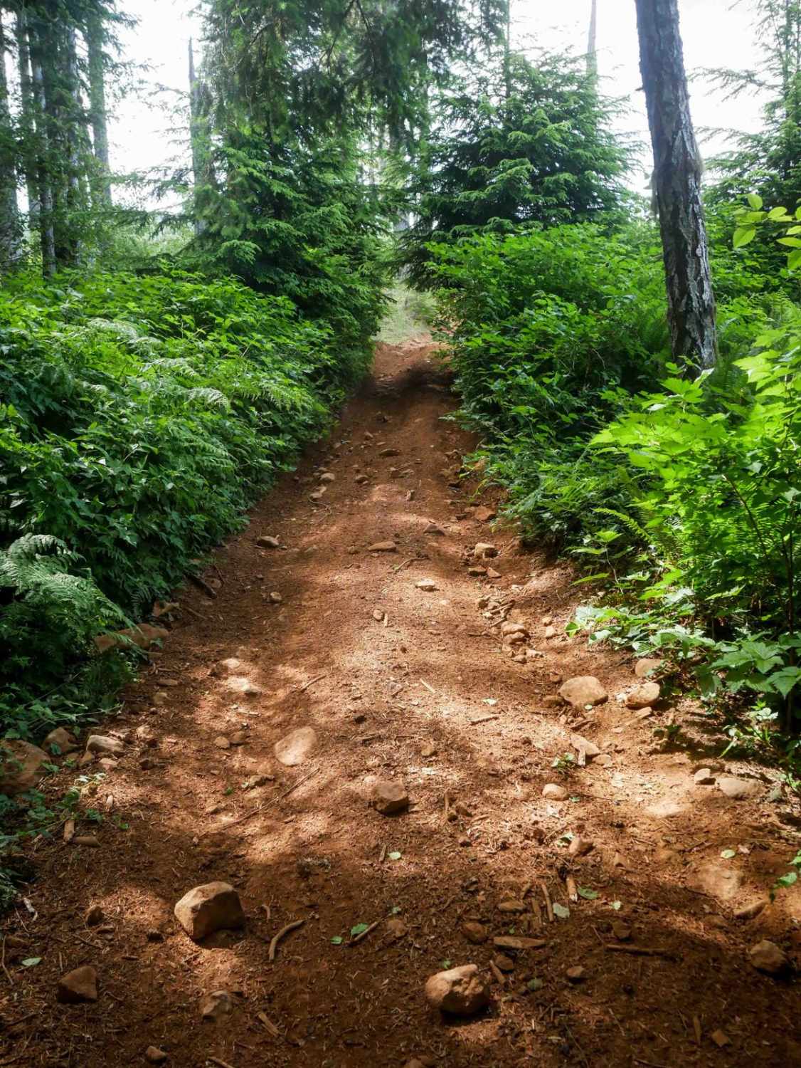 PC50, Oregon - GPS Trail Map, Conditions & Difficulty | onX Offroad