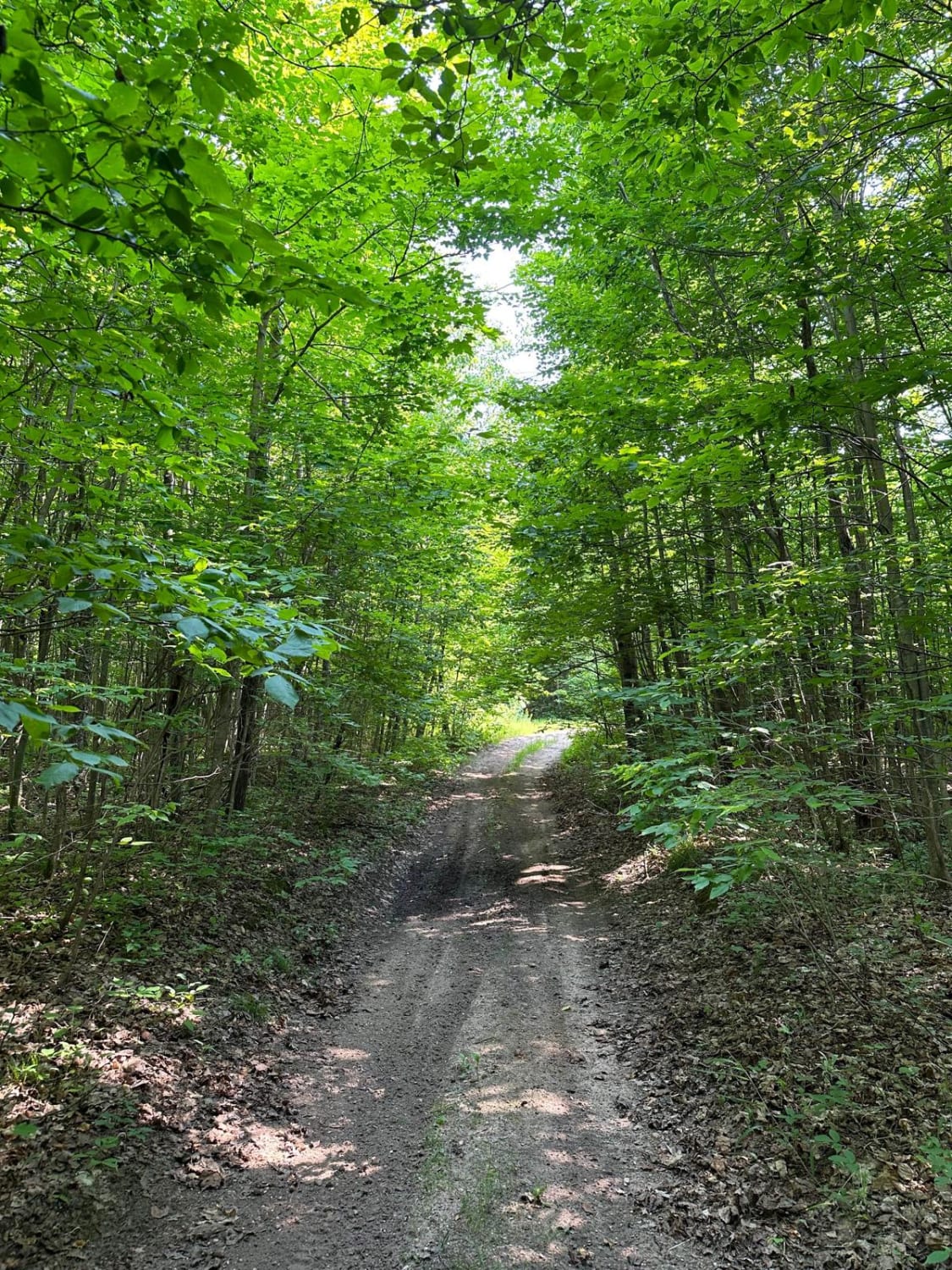 Oakley Road Bypass A, Michigan : Off-Road Trail Map & Photos | onX Offroad