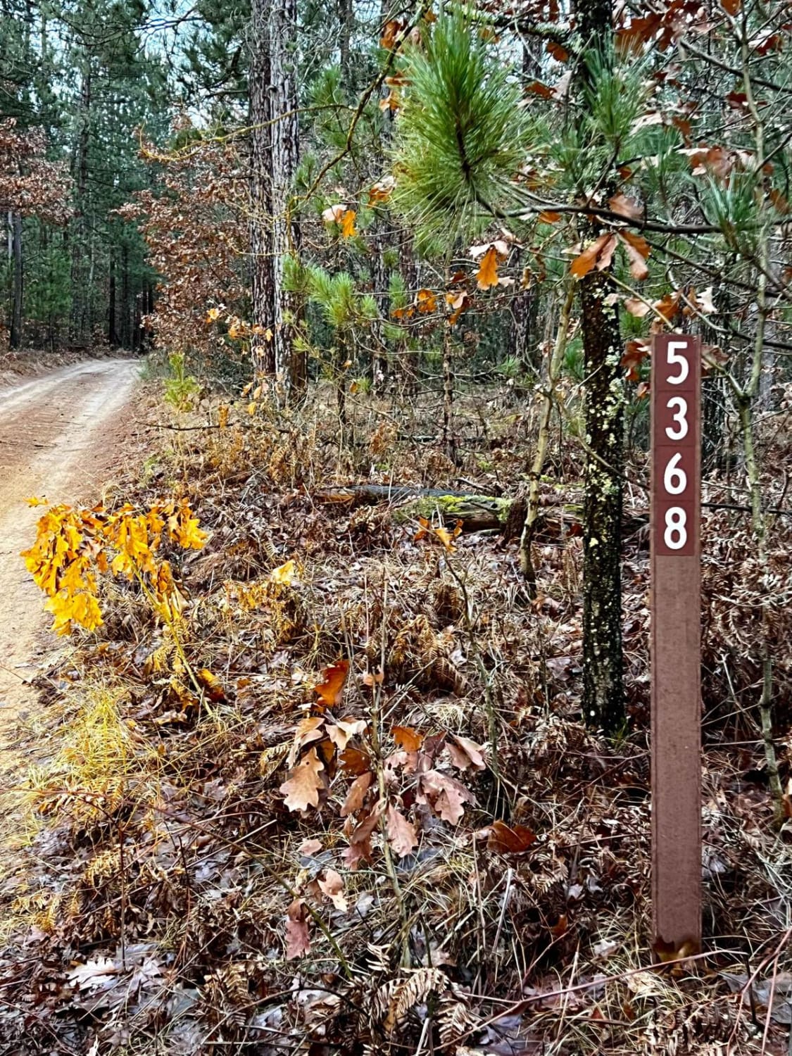 NFS 5368, Michigan : Off-Road Trail Map & Photos | onX Offroad