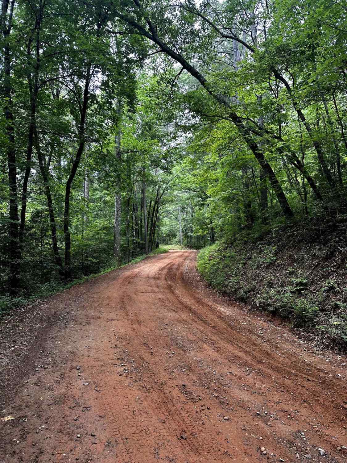 Coopers Gap, Georgia : Off-Road Trail Map & Photos | onX Offroad