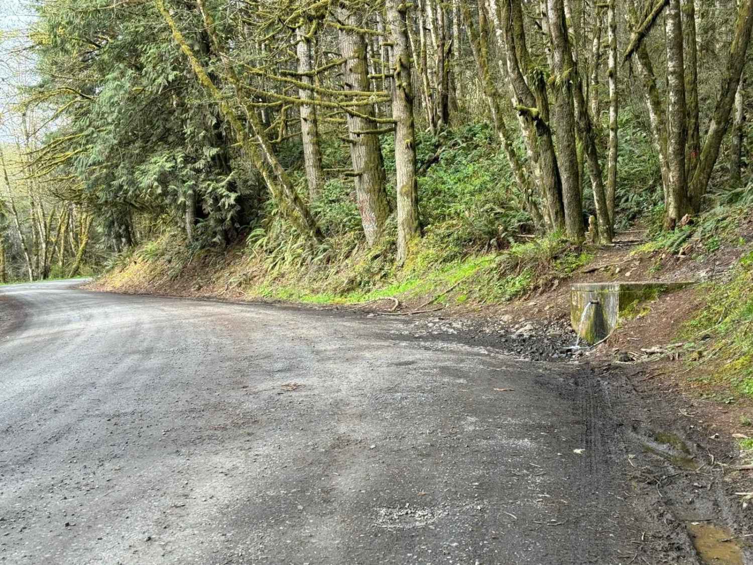 Shaffer Road, Oregon : Off-Road Trail Map & Photos | onX Offroad