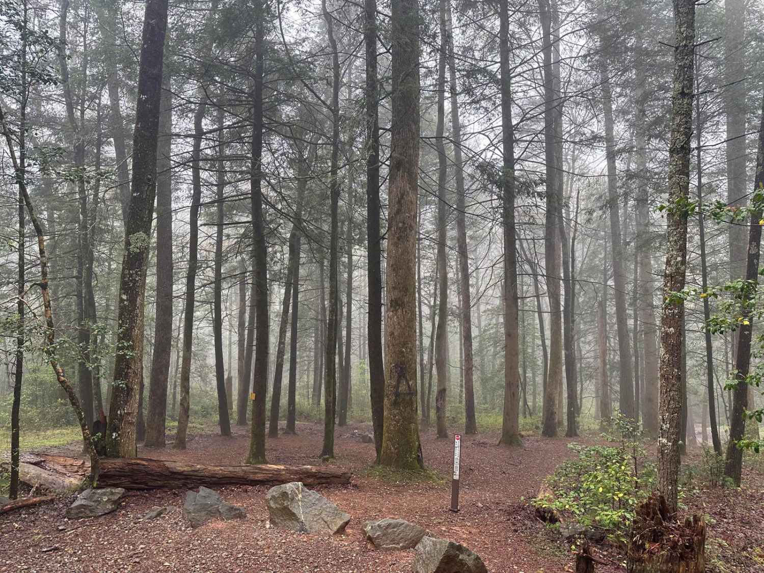 Raven Cliff, Georgia : Off-Road Trail Map & Photos | onX Offroad