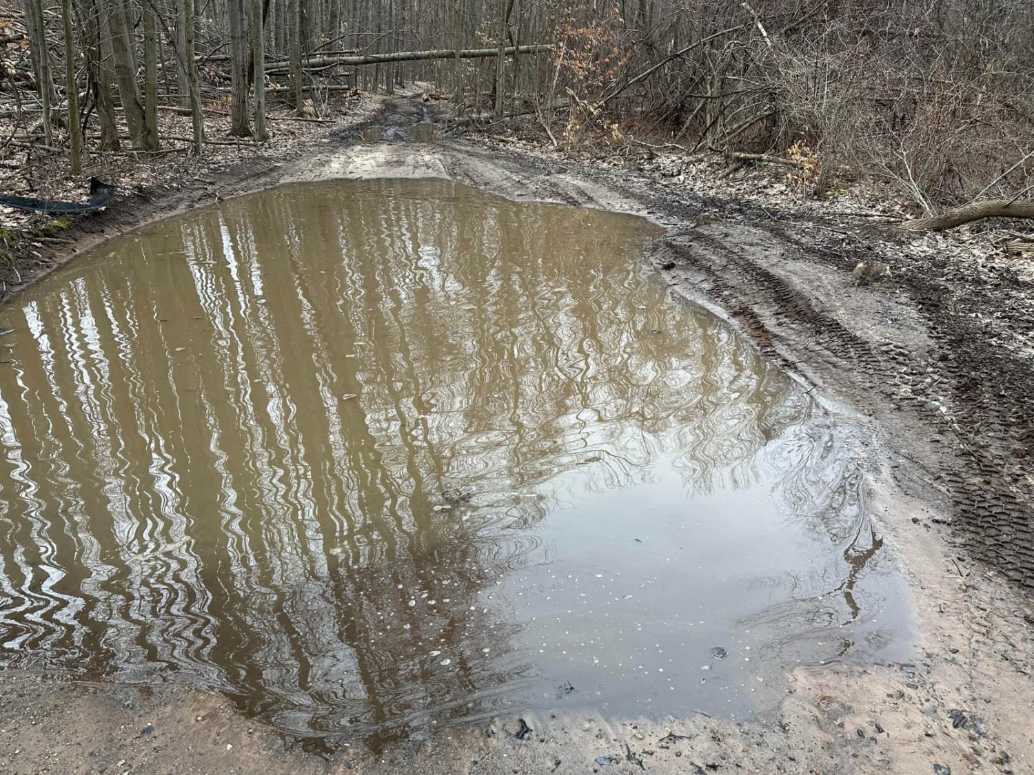 Mud Slide - FS 5011, Michigan : Off-Road Trail Map & Photos | onX Offroad