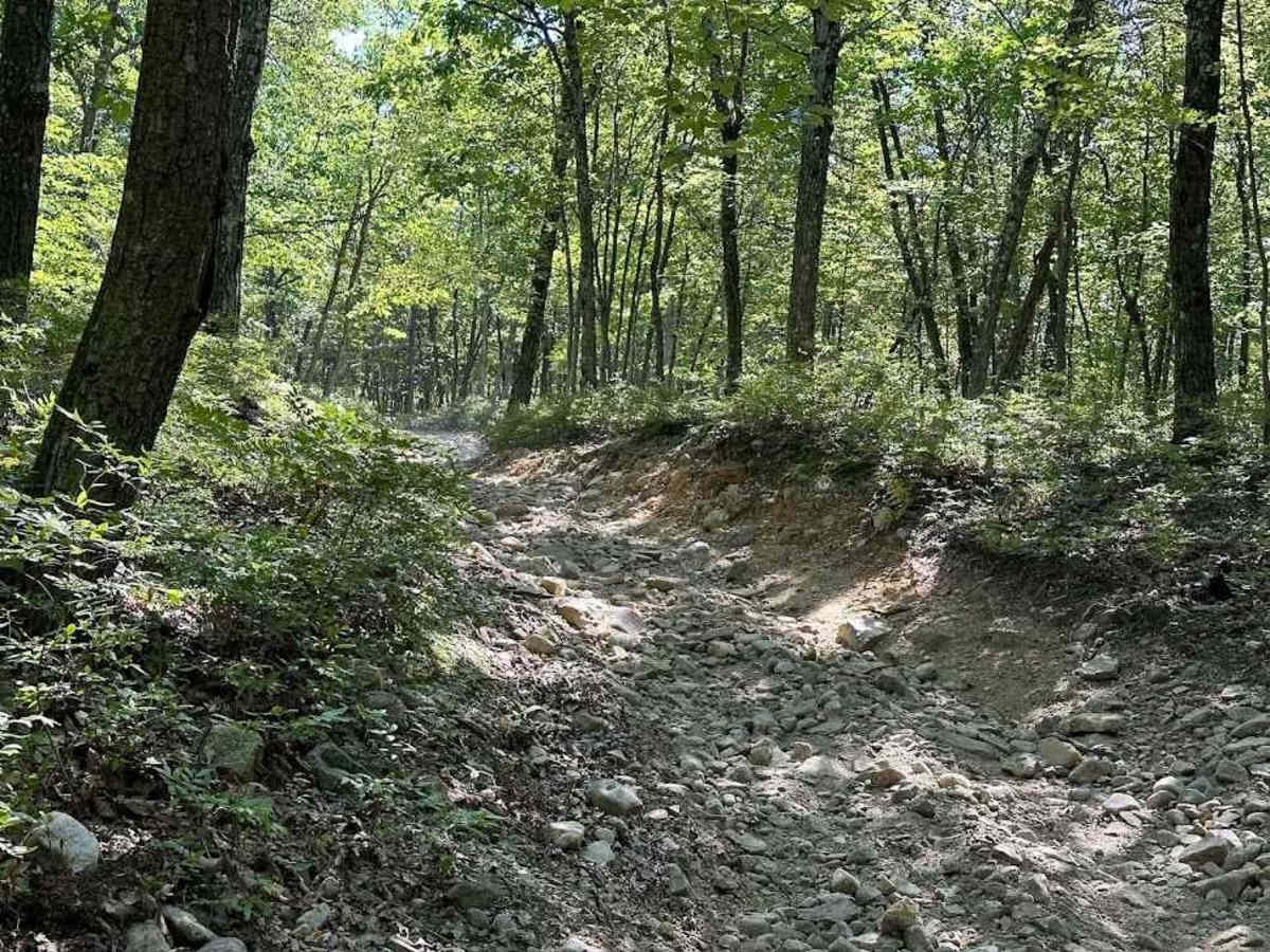 43 Blue | Off-Road Trail Maps, Difficulty, Trail Status | onX Offroad