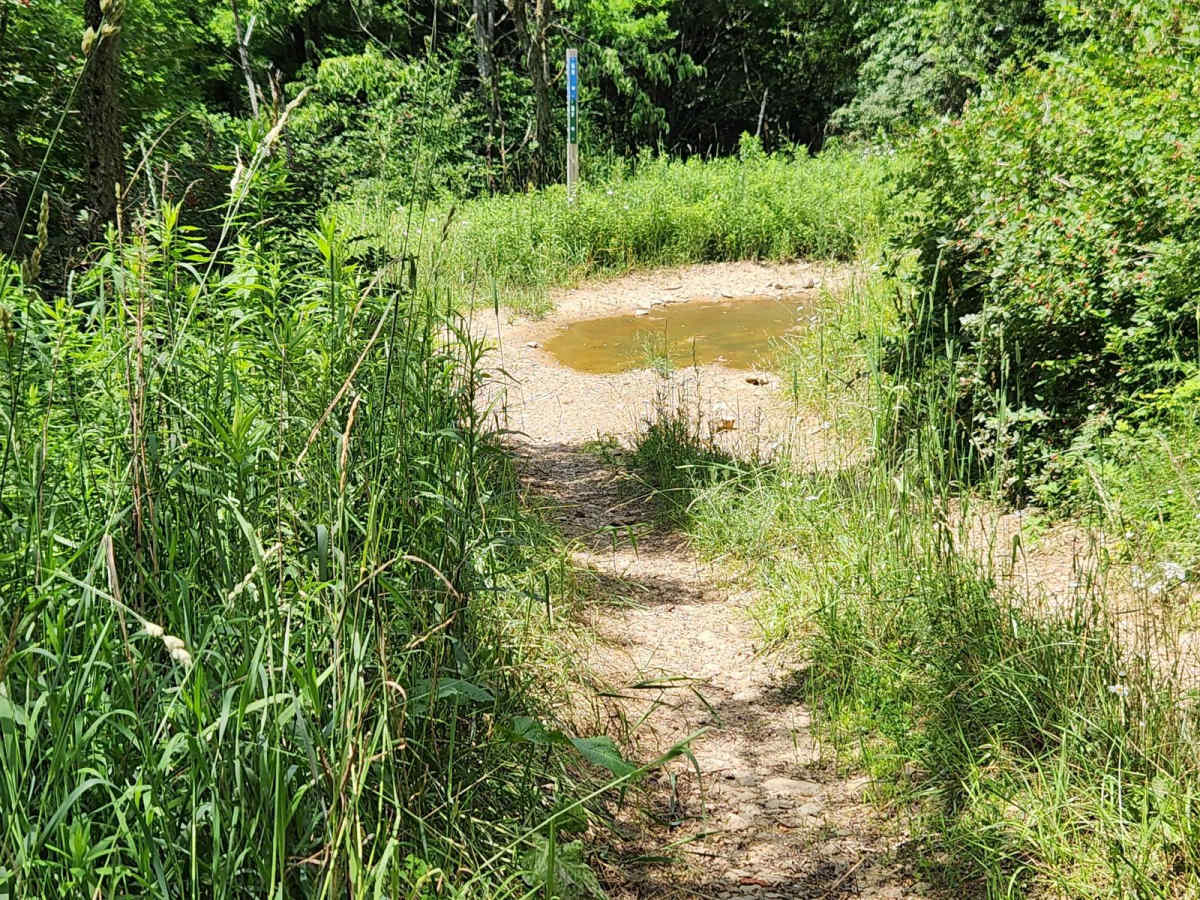 Trail 5F - Rock Run Recreation Area | Off-Road Trail Maps, Difficulty ...