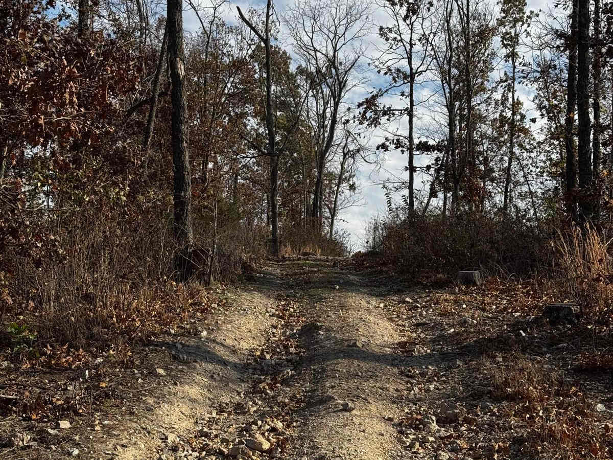 Cut Through | Off-Road Trail Maps, Difficulty, Trail Status | onX Offroad