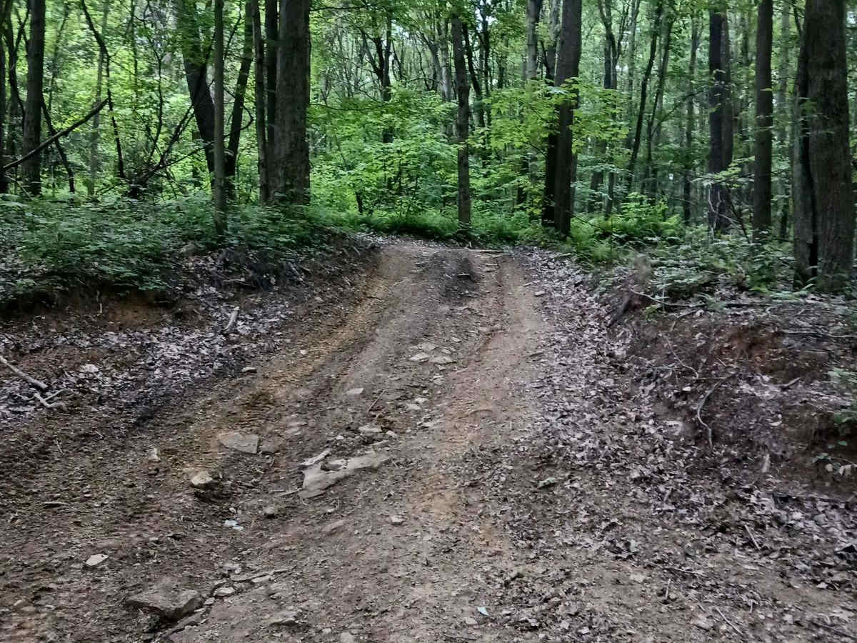 Trail 1B - Rock Run Recreation Area | Off-Road Trail Maps, Difficulty ...