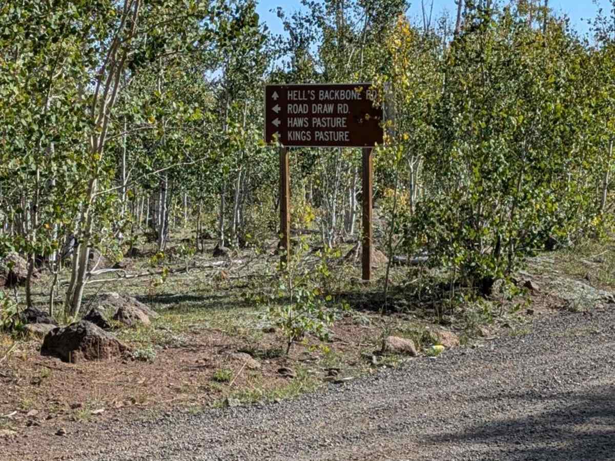 Road Draw/Haws Pasture/Kings Pasture | Off-Road Trail Maps, Difficulty ...