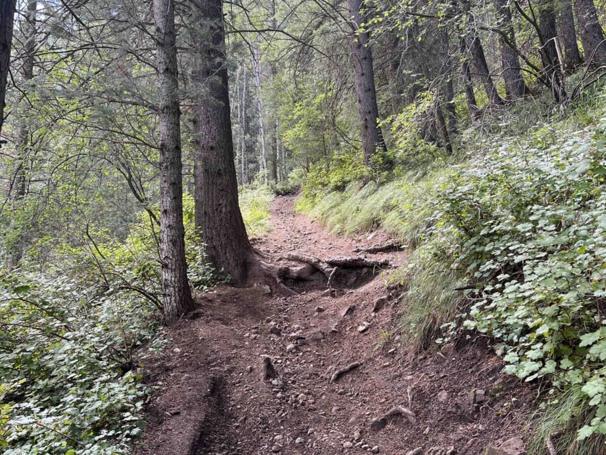 Bear Canyon (2179) | Off-Road Trail Maps, Difficulty, Trail Status ...
