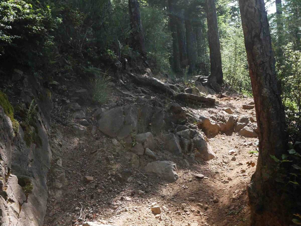 Wildcat | Off-Road Trail Maps, Difficulty, Trail Status | onX Offroad