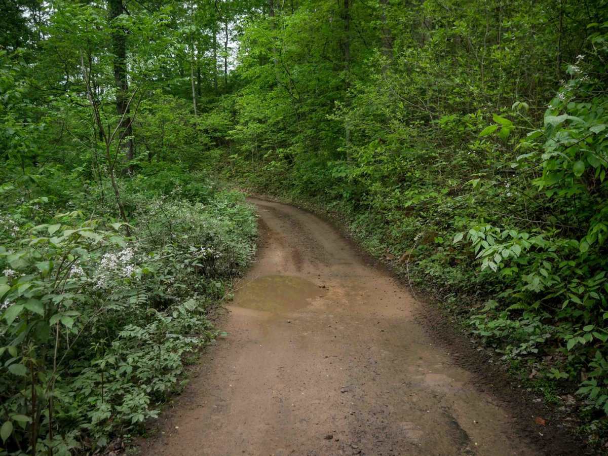 BM 37 | Off-Road Trail Maps, Difficulty, Trail Status | onX Offroad