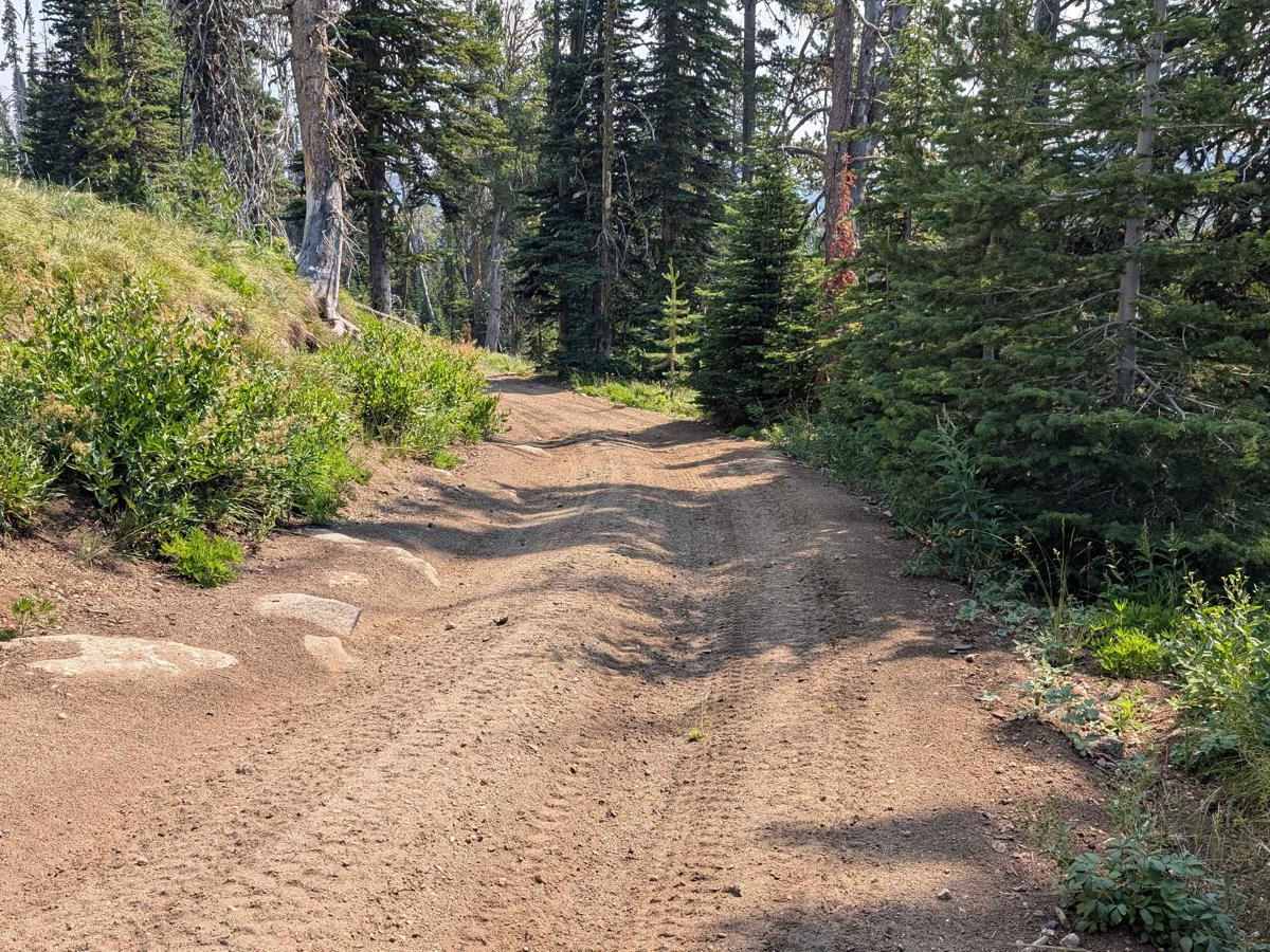 Forest Service Road 50321 (FS 321) Carey Dome | Off-Road Trail Maps ...