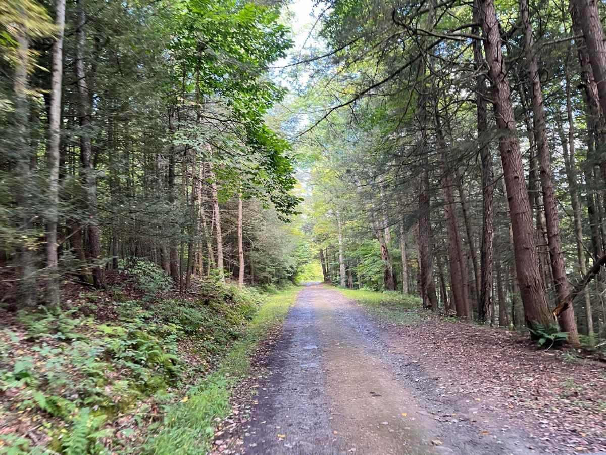 Carter Creek Road | Off-Road Trail Maps, Difficulty, Trail Status | onX ...