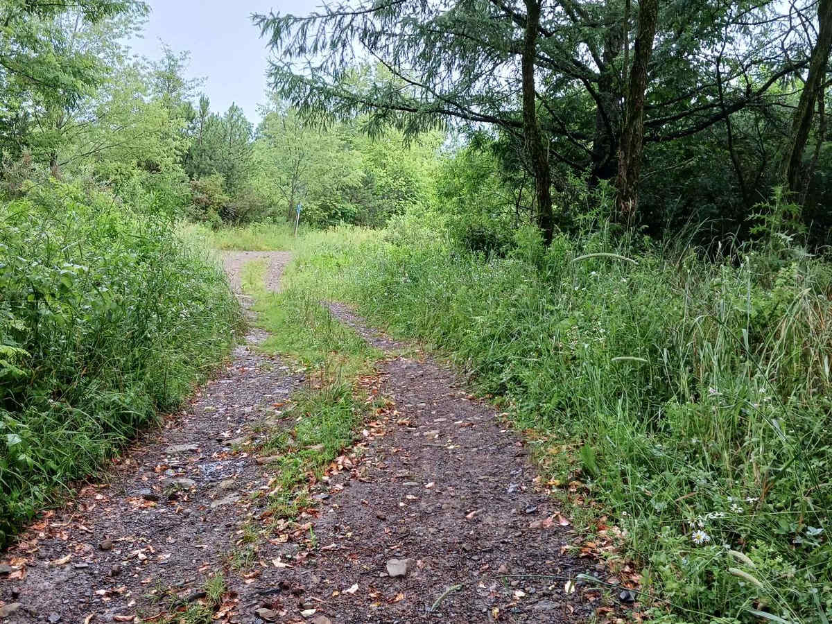 Trail 4M - Rock Run Recreation Area | Off-Road Trail Maps, Difficulty ...