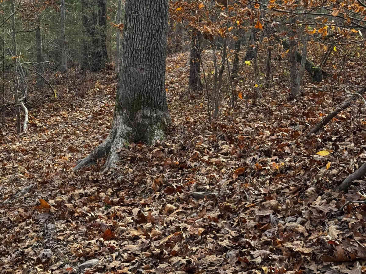 Stanton Lane | Off-Road Trail Maps, Difficulty, Trail Status | onX Offroad