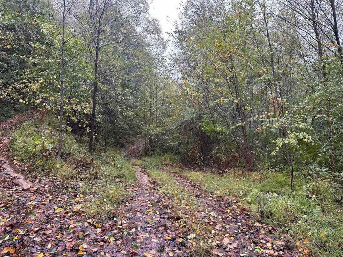 51 Blue | Off-Road Trail Maps, Difficulty, Trail Status | onX Offroad