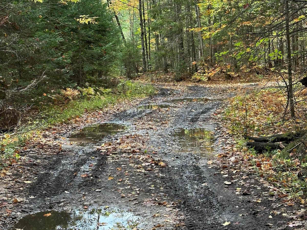 South Mott - FS 2793 | Off-Road Trail Maps, Difficulty, Trail Status ...