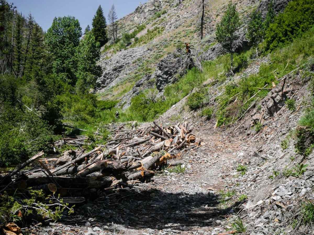 Kinsey Creek ATV Trail | Off-Road Trail Maps, Difficulty, Trail Status ...
