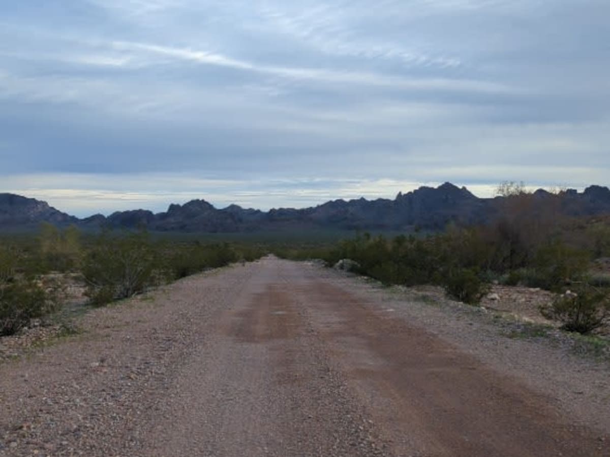 MST&T Tower Lookout | Off-Road Trail Maps, Difficulty, Trail Status ...
