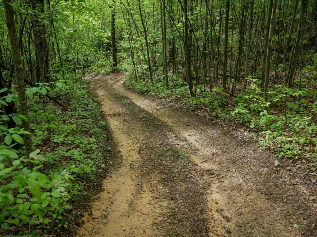 OP 40 | Off-Road Trail Maps, Difficulty, Trail Status | onX Offroad