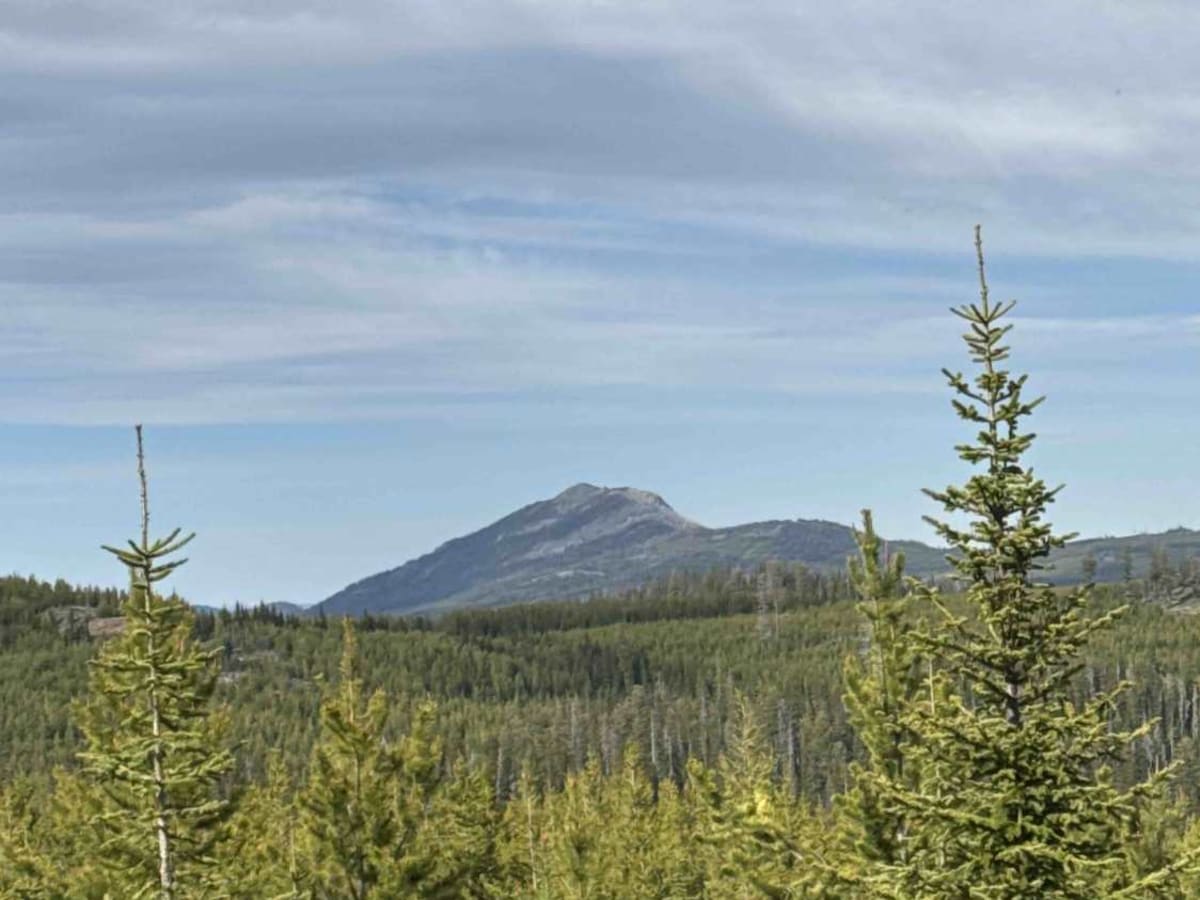Tadpole Lake FST | Off-Road Trail Maps, Difficulty, Trail Status | onX ...