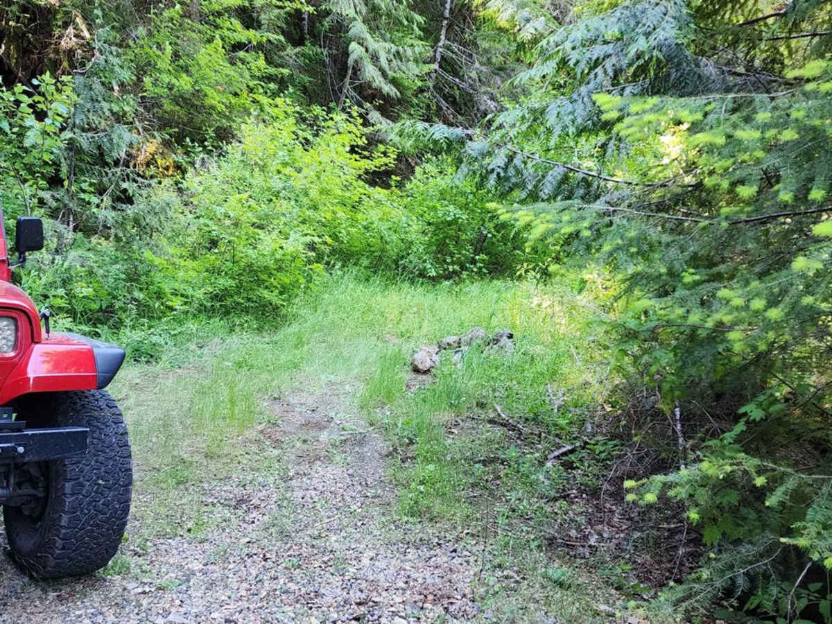 Nettleton/Forest Road 2441 | Off-Road Trail Maps, Difficulty, Trail ...