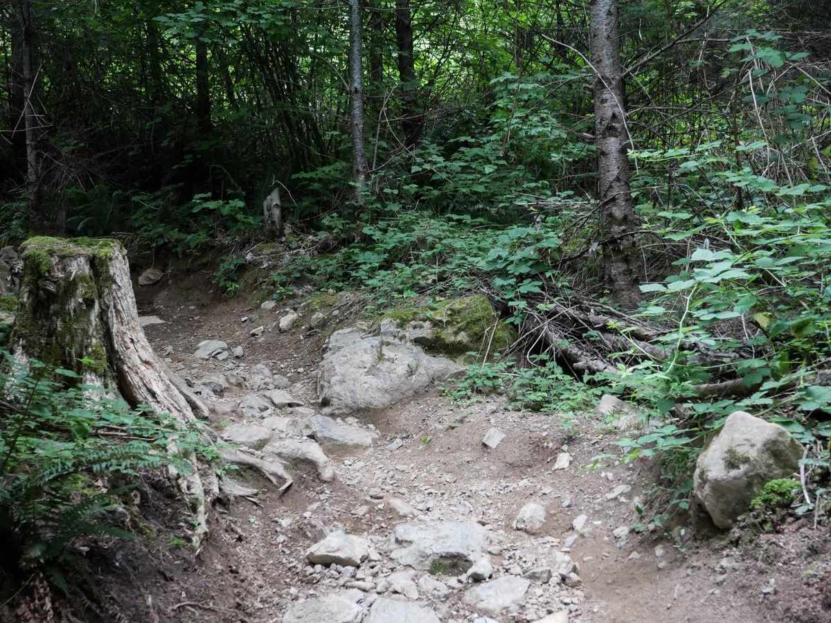 Kim and Monicas | Off-Road Trail Maps, Difficulty, Trail Status | onX ...