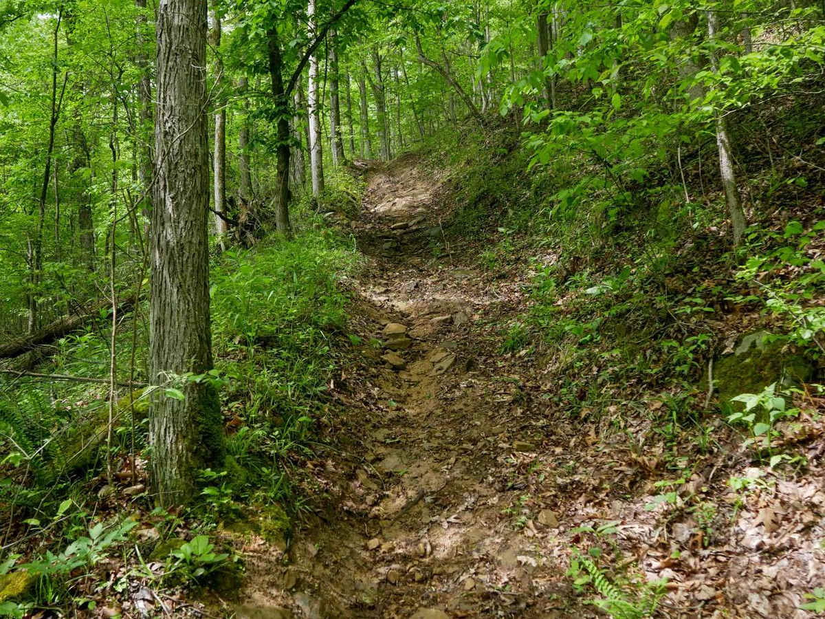 IB 163 | Off-Road Trail Maps, Difficulty, Trail Status | onX Offroad