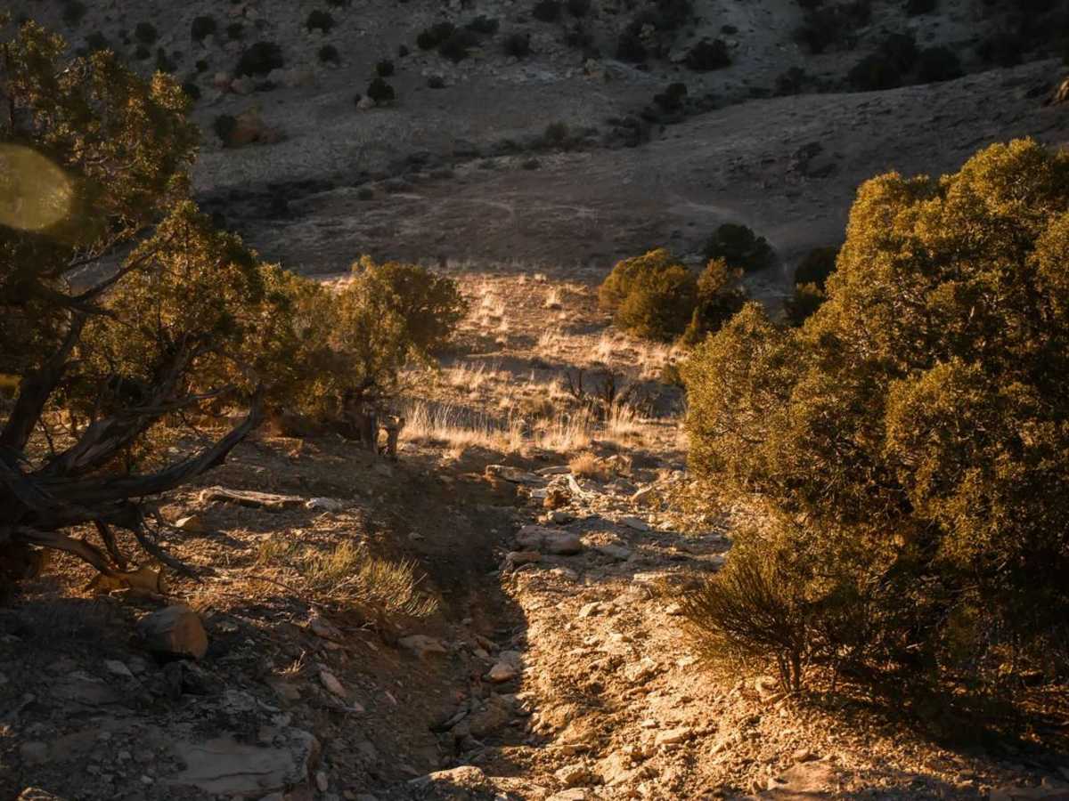 Overlook Trail Part 2 | Off-Road Trail Maps, Difficulty, Trail Status ...
