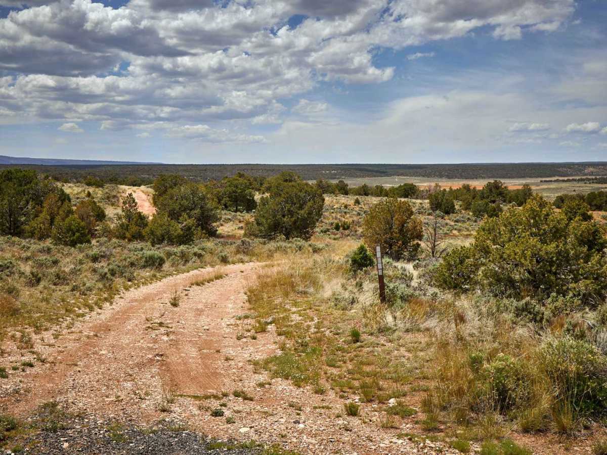 Rim Ruins | Off-Road Trail Maps, Difficulty, Trail Status | onX Offroad