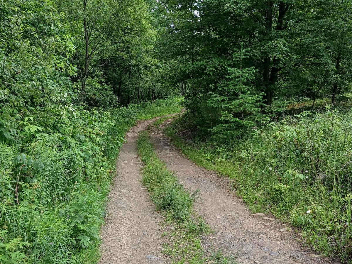 Trail 11H - Rock Run Recreation Area | Off-Road Trail Maps, Difficulty ...