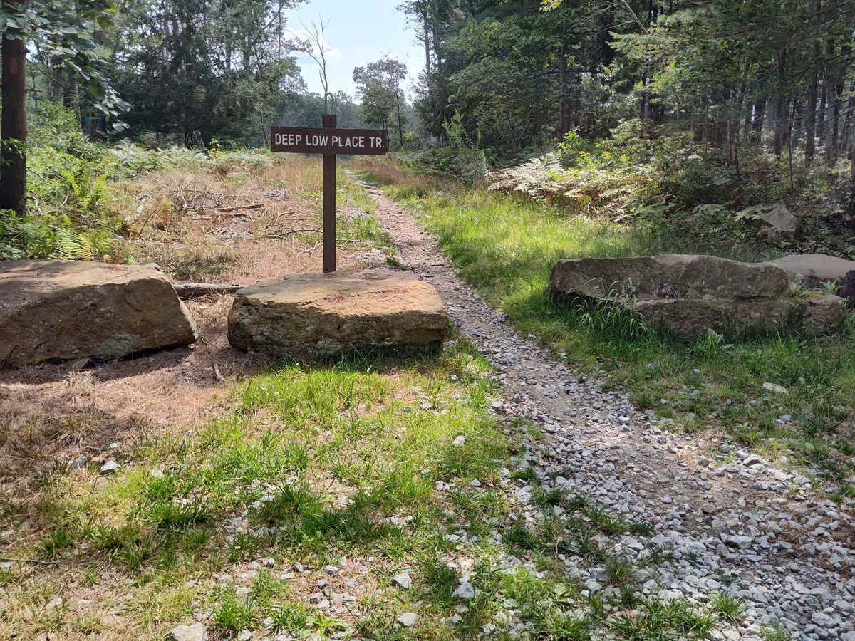 Tower Trail - Single Track | Off-Road Trail Maps, Difficulty, Trail ...