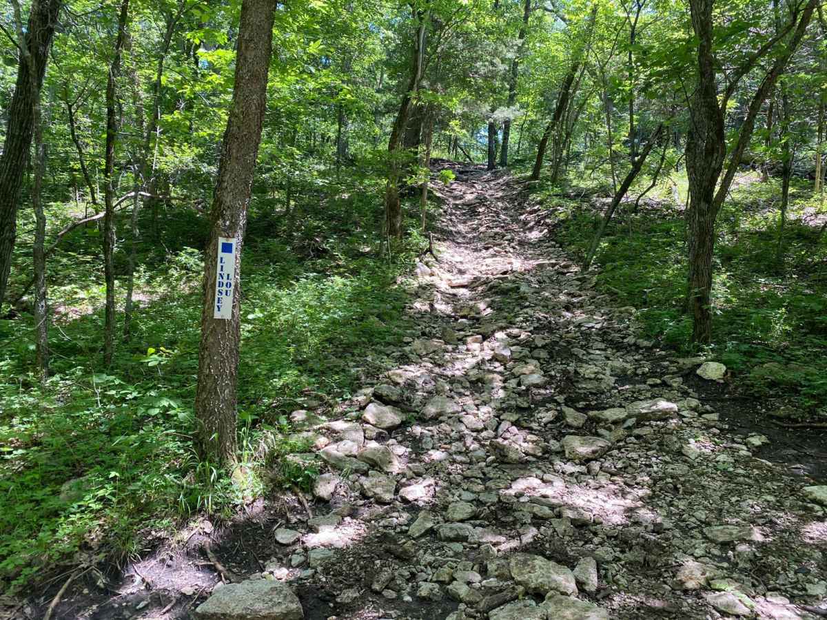 Lindsey Lou | Off-Road Trail Maps, Difficulty, Trail Status | onX Offroad
