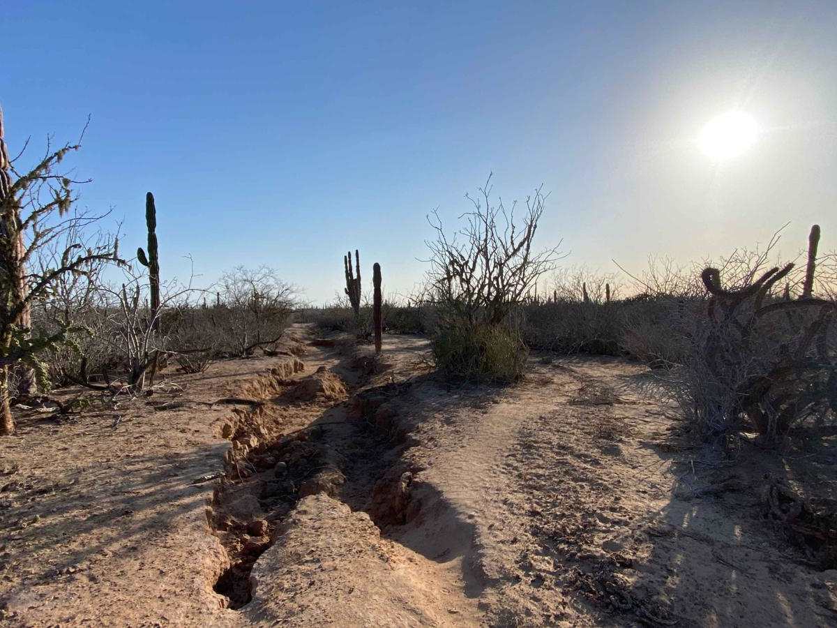 Off Middle Road | Off-Road Trail Maps, Difficulty, Trail Status | onX ...