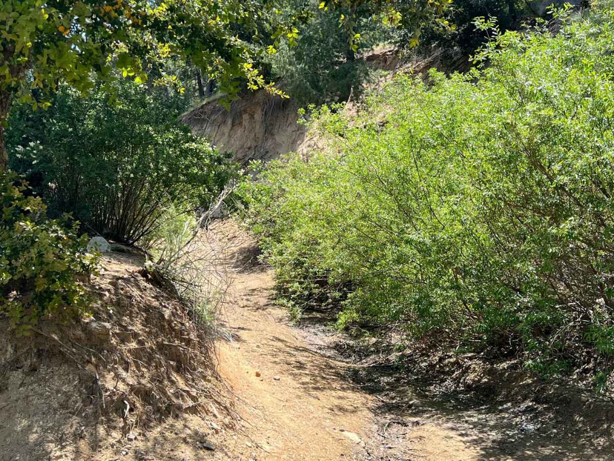 Burnt Mill | Off-Road Trail Maps, Difficulty, Trail Status | onX Offroad