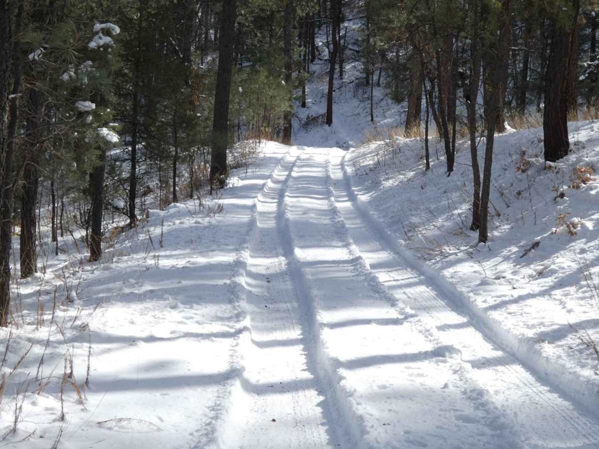 Burnt Can | Off-Road Trail Maps, Difficulty, Trail Status | onX Offroad