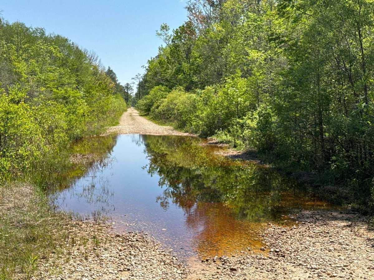 Grade 19.5 - Aucilla WMA | Off-Road Trail Maps, Difficulty, Trail ...