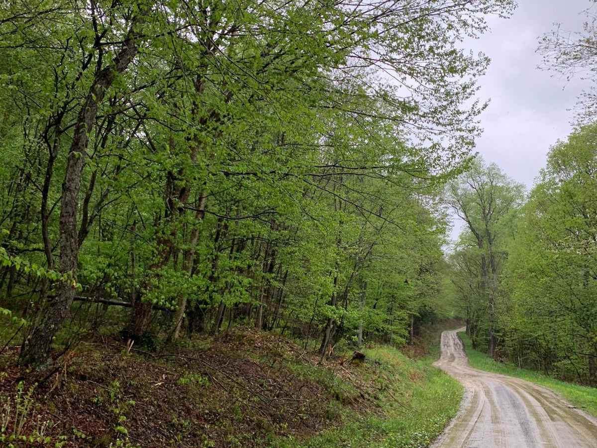 FR 297/237 Pine Run/Red Mill Campground | Off-Road Trail Maps ...